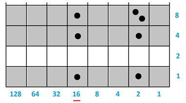 11.6 Division | G'Day Math
